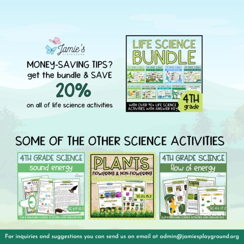 Animal & Plant Life Cycle- 4th Grade Life Science - ACTIVITIES + ANSWER ...
