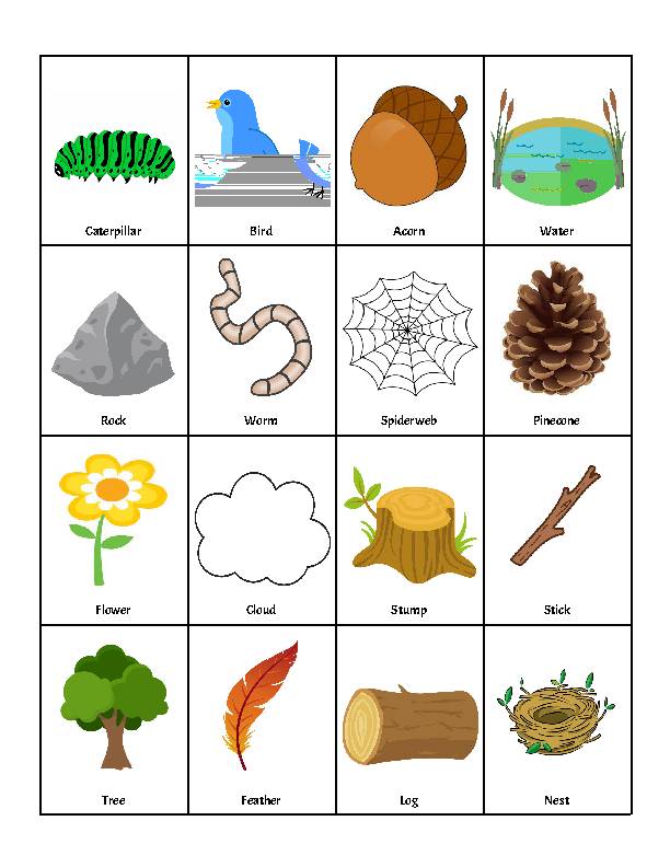 Nature Bingo - Classful