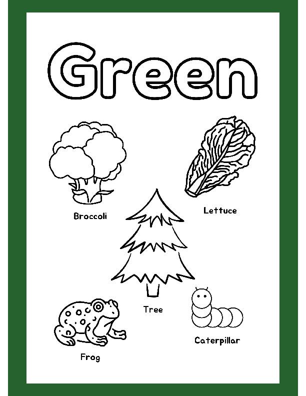 Color My Words - Classful