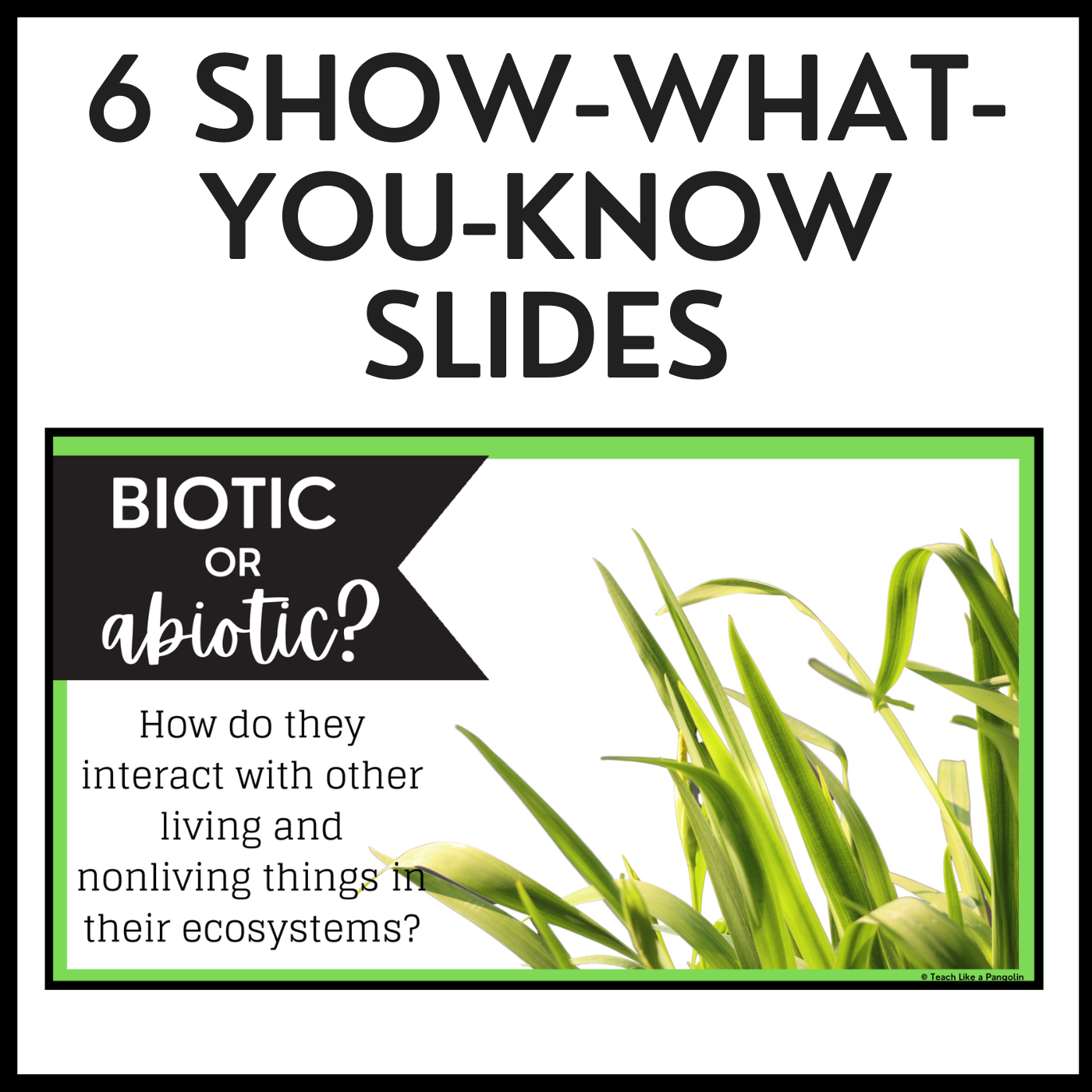 Abiotic and Biotic Factors Activity - Slideshow and Guided Notes - Classful