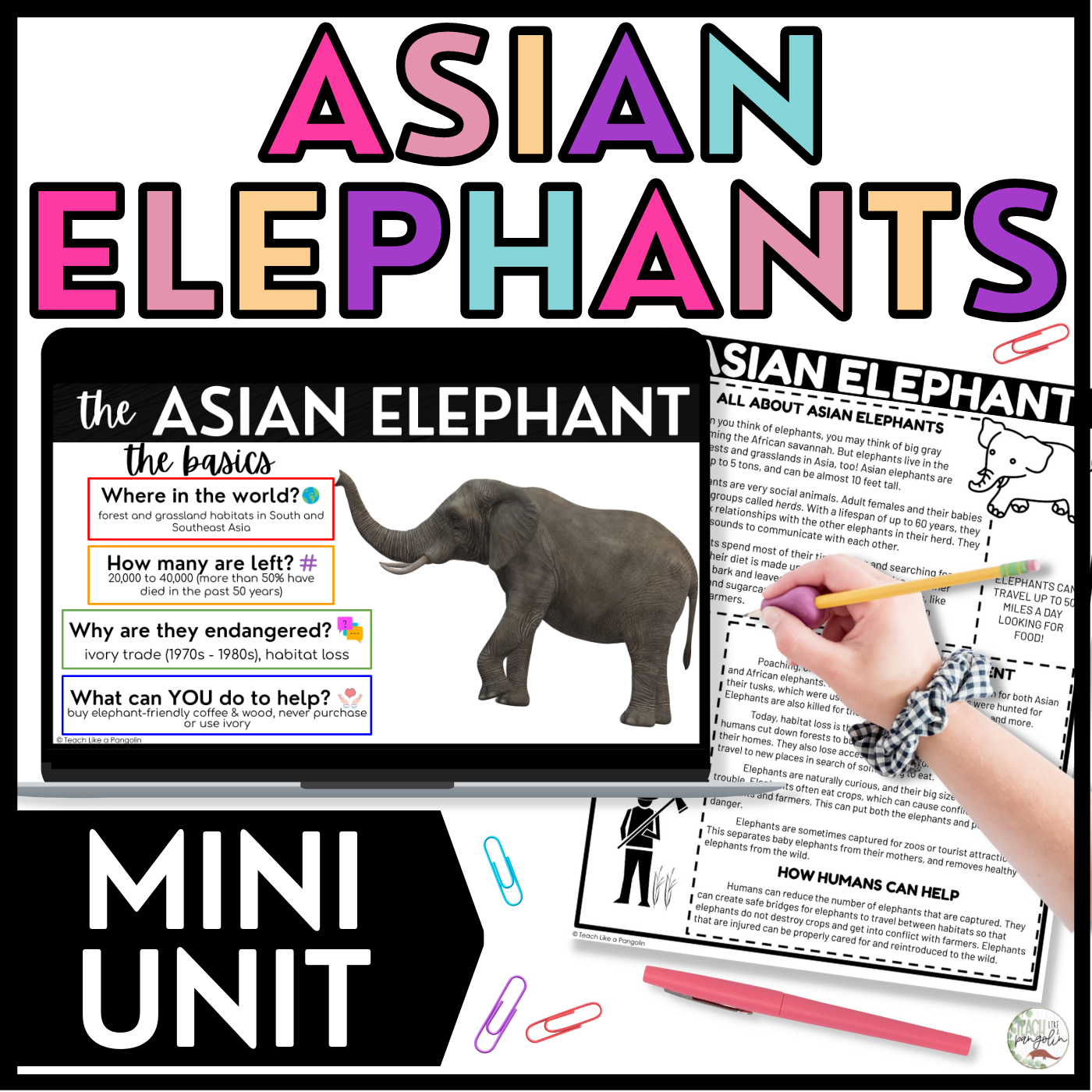 Asian Elephants - Science Comprehension Passage and Questions - Classful