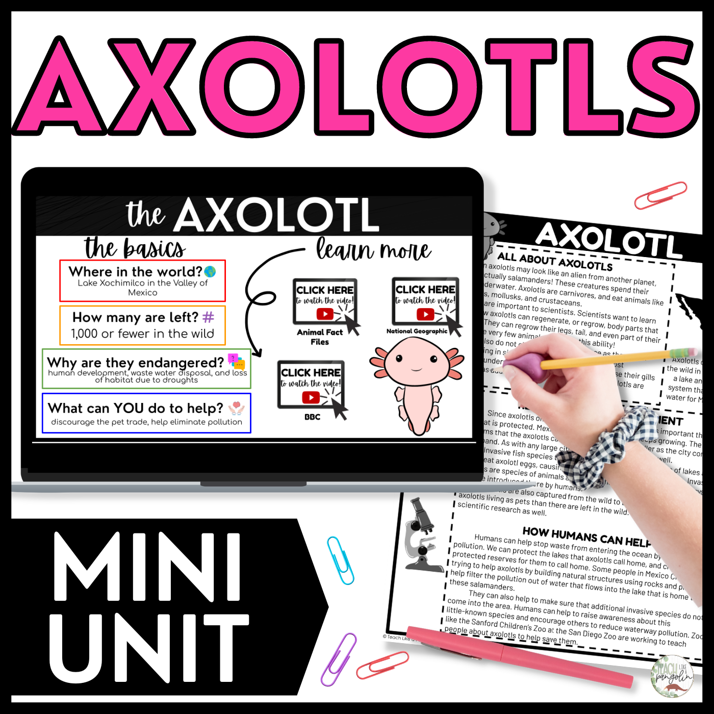 Axolotls Science Reading Comprehension Passage and Questions - Classful