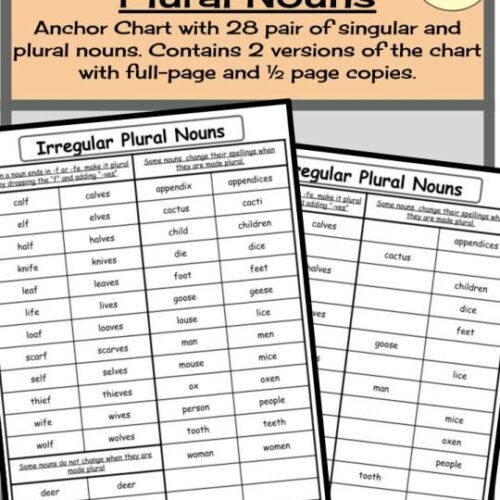 ELA Anchor Chart- Irregular Plural Nouns (Differentiated) - Classful