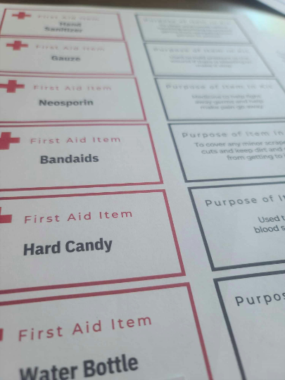 2nd and 3rd Grade First Aid and Safety Activity Workbook-7-9 year old ...