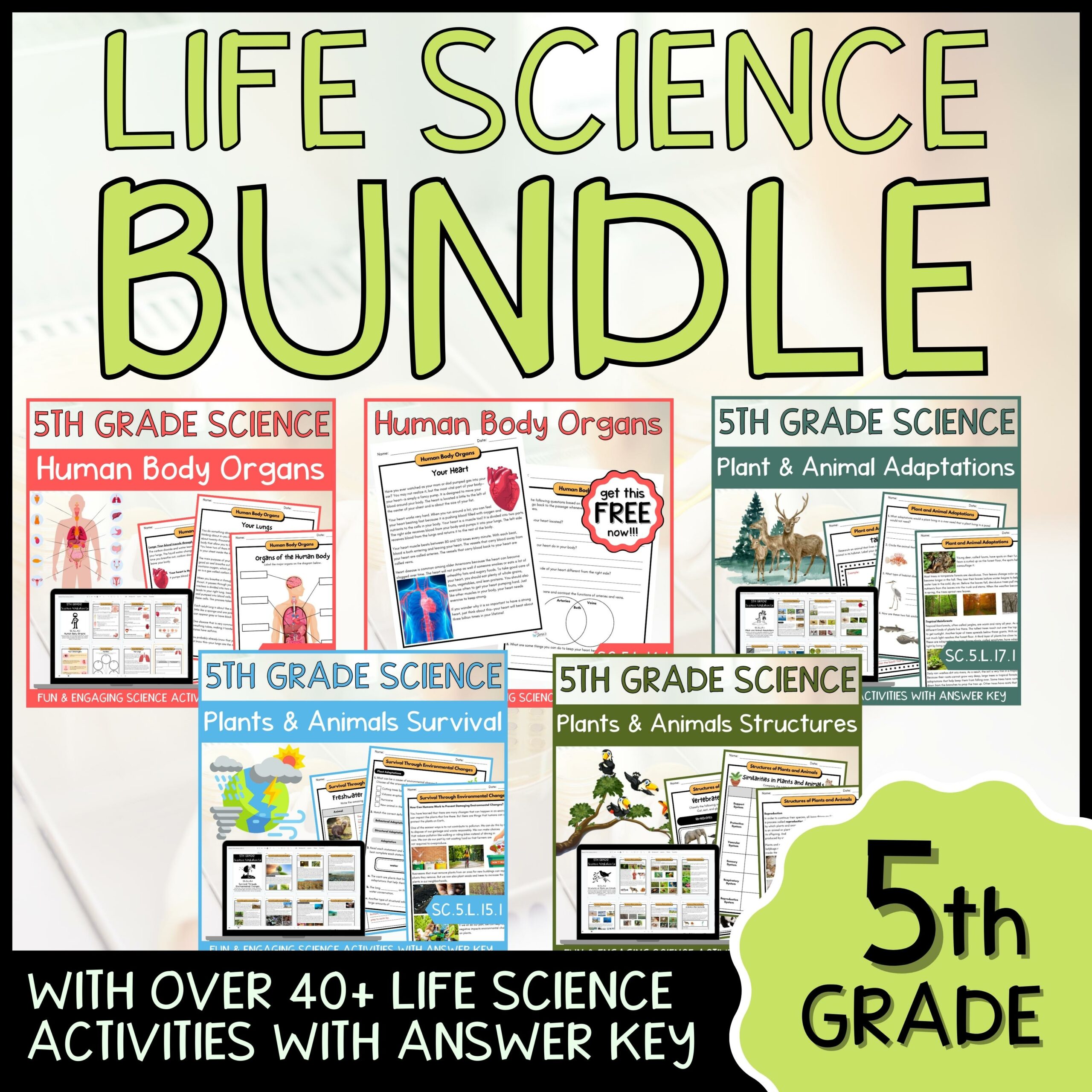 Fraction Bundle | Identifying and Modeling Fractions - Classful