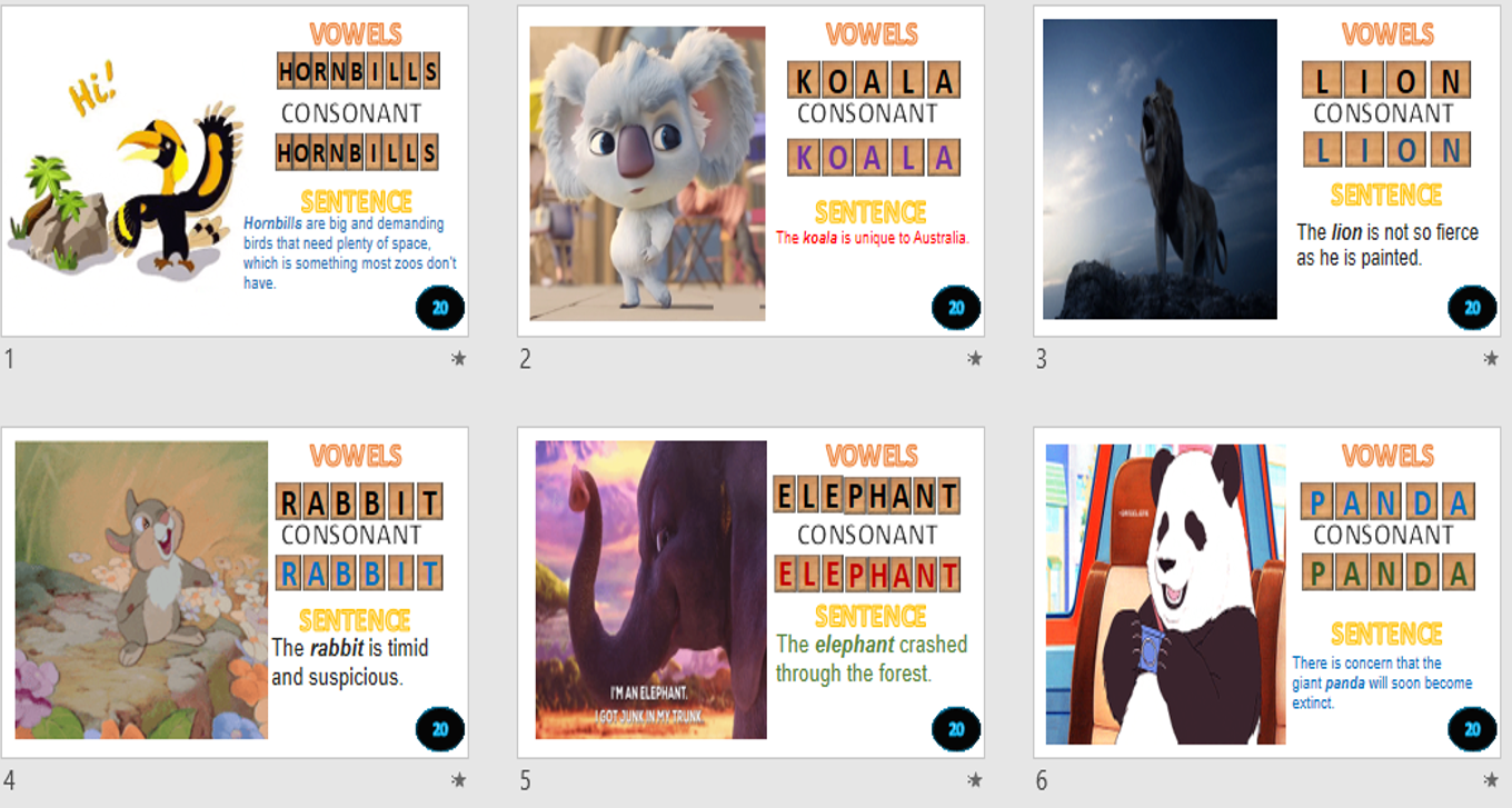 Animals - VOWELS-CONSONANTS and SENTENCES - Classful