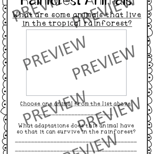 Tropical Rainforest Biome Activity - Classful
