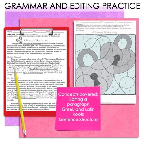 Valentine's Day Activities for Middle School ELA Color by Number ...