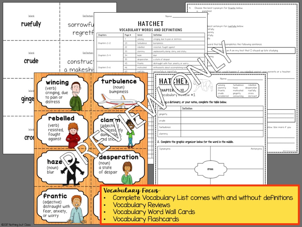 Hatchet Novel Study Unit | Comprehension with Activities and Tests ...