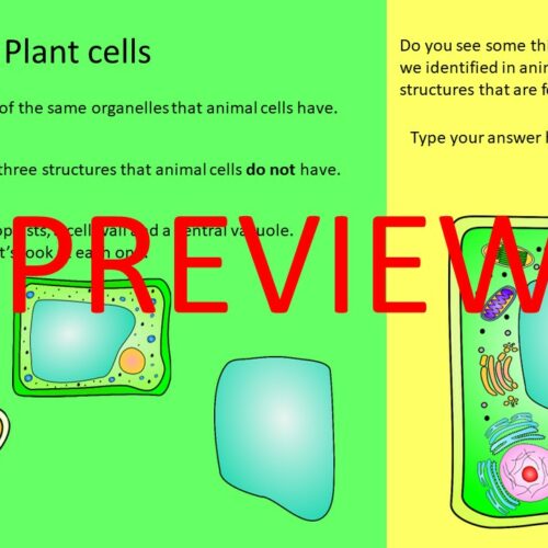 Animal and Plant Cell Interactive Powerpoint Lesson and Student ...