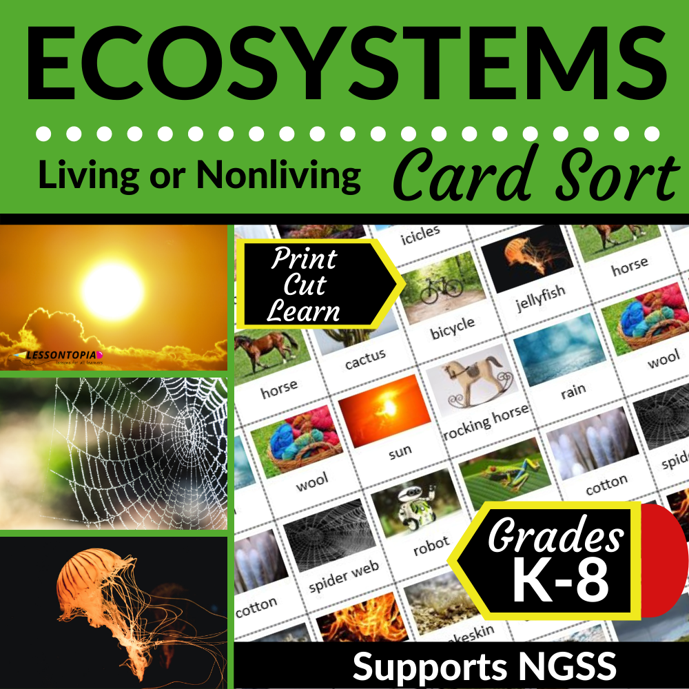 Living or Nonliving | Ecosystems | Card Sort - Classful