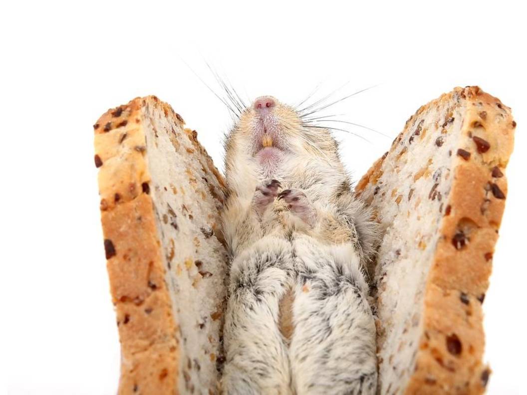 Picture of the Day- 180 Writing Prompt Photos to inspire Creative ...