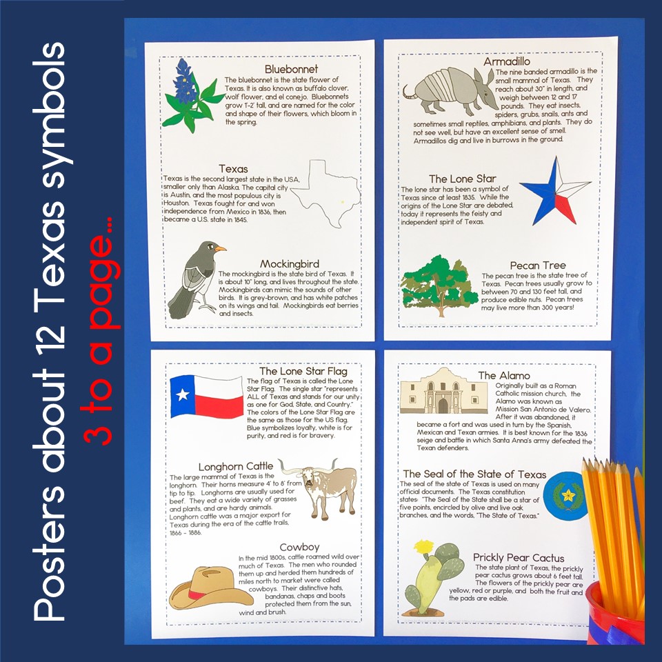 Texas State Symbols Bingo with Symbols of Texas Informational Posters ...