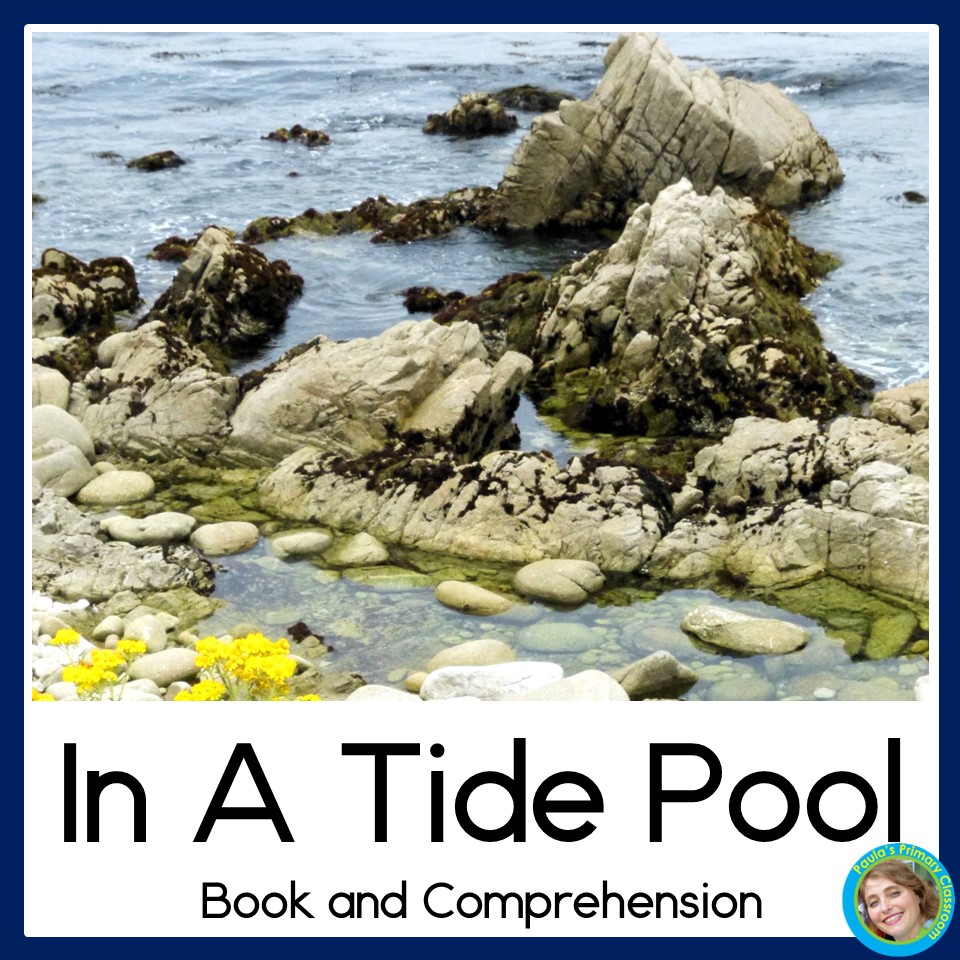 Tide Pools Non-fiction Book Reading Comprehension and Photographs ...