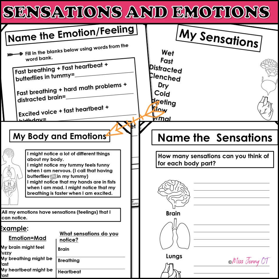 Interoception Self Regulation Activities Whole Body Workbook - Classful