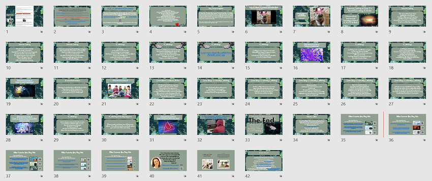 Catfishing Internet & Personal Safety Rules Lesson No Prep Ready to Use ...