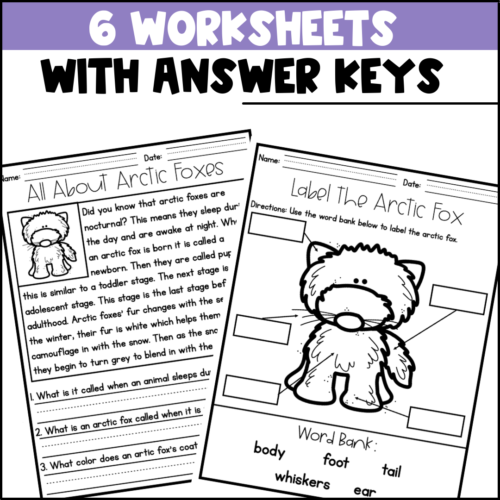 Life Cycle of an Arctic Fox Activities, Worksheets, Book - Arctic Fox ...