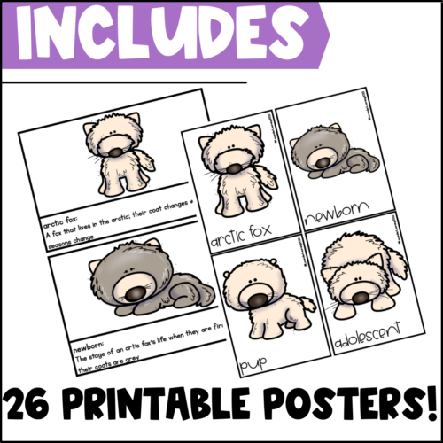 Life Cycle of an Arctic Fox Activities, Worksheets, Book - Arctic Fox ...