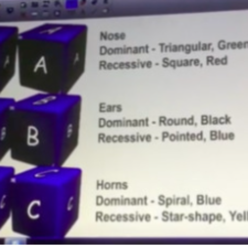 8.LS3.2 Punnett Squares Video Lab - Classful