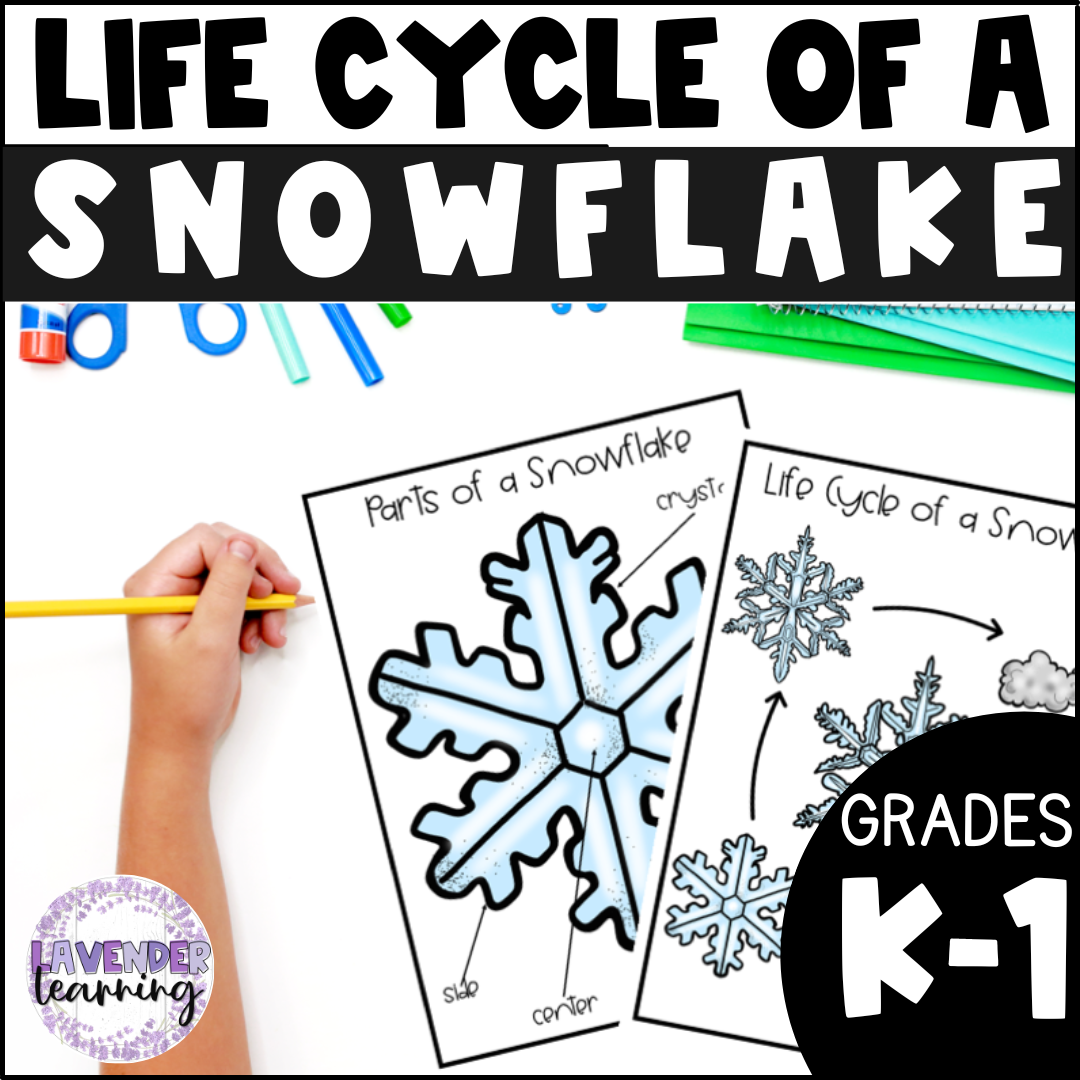 Life Cycle of a Snowflake Activities, Worksheets, Booklet - Snowflake ...