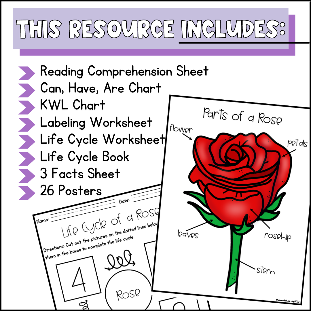 Life Cycle of a Rose Activities, Worksheets, Booklet, Posters - Rose ...