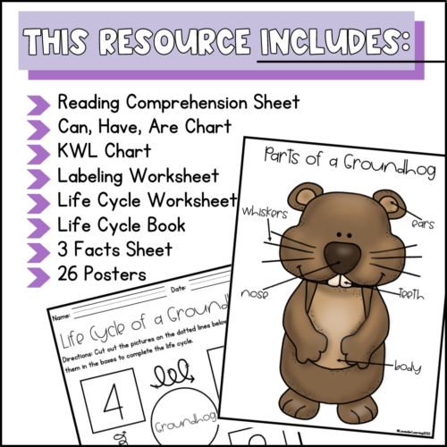 Life Cycle of a Groundhog Activities, Worksheets, Booklet - Groundhog ...