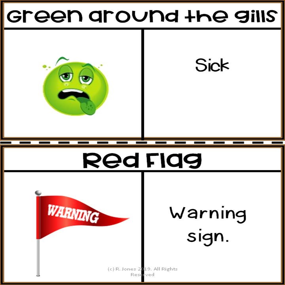 90 Common Idiom Posters and 40 Task Cards| 2nd-6th Grade | Paper ...