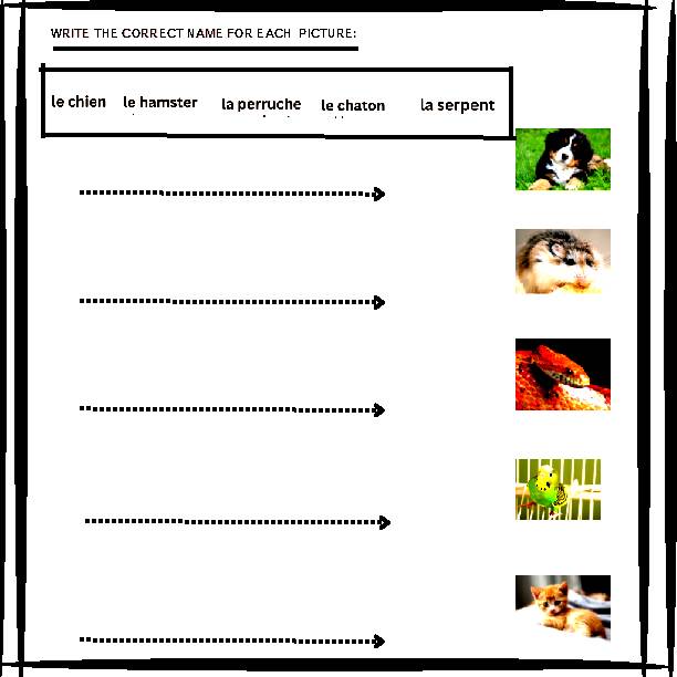 LEARN FRENCH ANIMAL NAMES - Classful