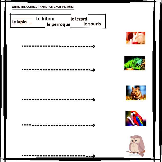 LEARN FRENCH ANIMAL NAMES - Classful