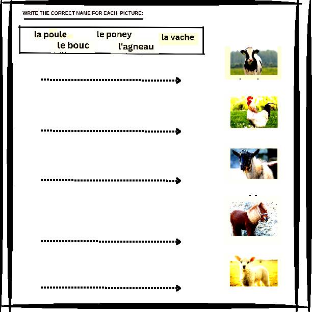 LEARN FRENCH ANIMAL NAMES - Classful