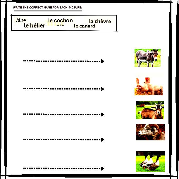 LEARN FRENCH ANIMAL NAMES - Classful