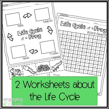 Life Cycle of a Frog Tab Flip book - Classful