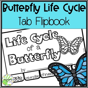 Life Cycle of a Butterfly Tab Flip book - Classful