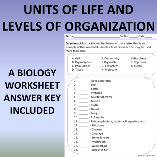 Levels of Organization of Life- A Biology Worksheet - Classful