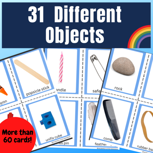 Match Object to Pictures for ABA Autism ABLLS-R B4 & B6 with Photos or ...