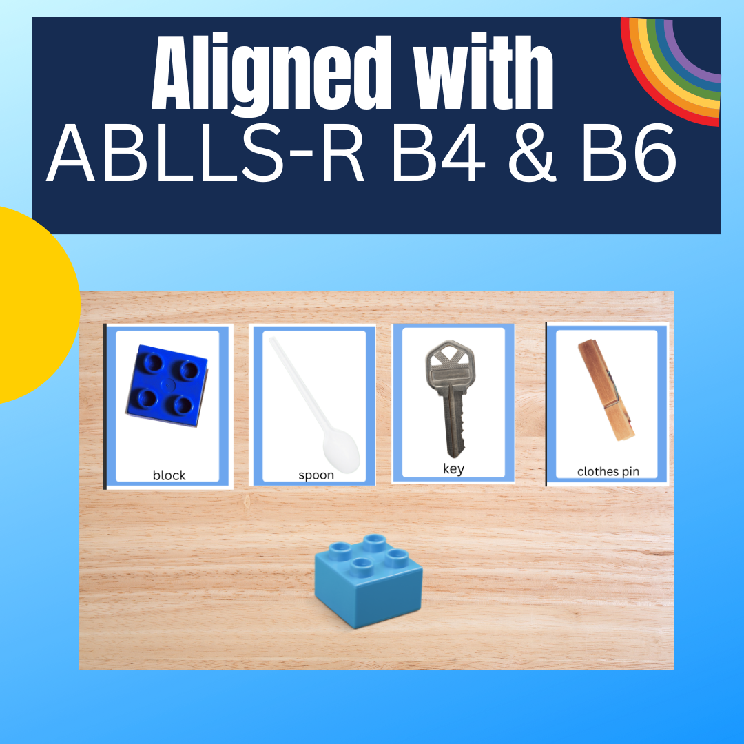 Match Object to Pictures for ABA Autism ABLLS-R B4 & B6 with Photos or ...