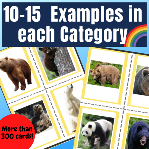 Sort Non-Identical Pictures for ABA Autism ABLLS-R B8 with Photos ...