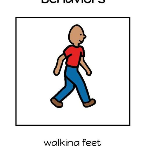 Boardmaker Hallway Behavior Poster PEC Visual - Classful