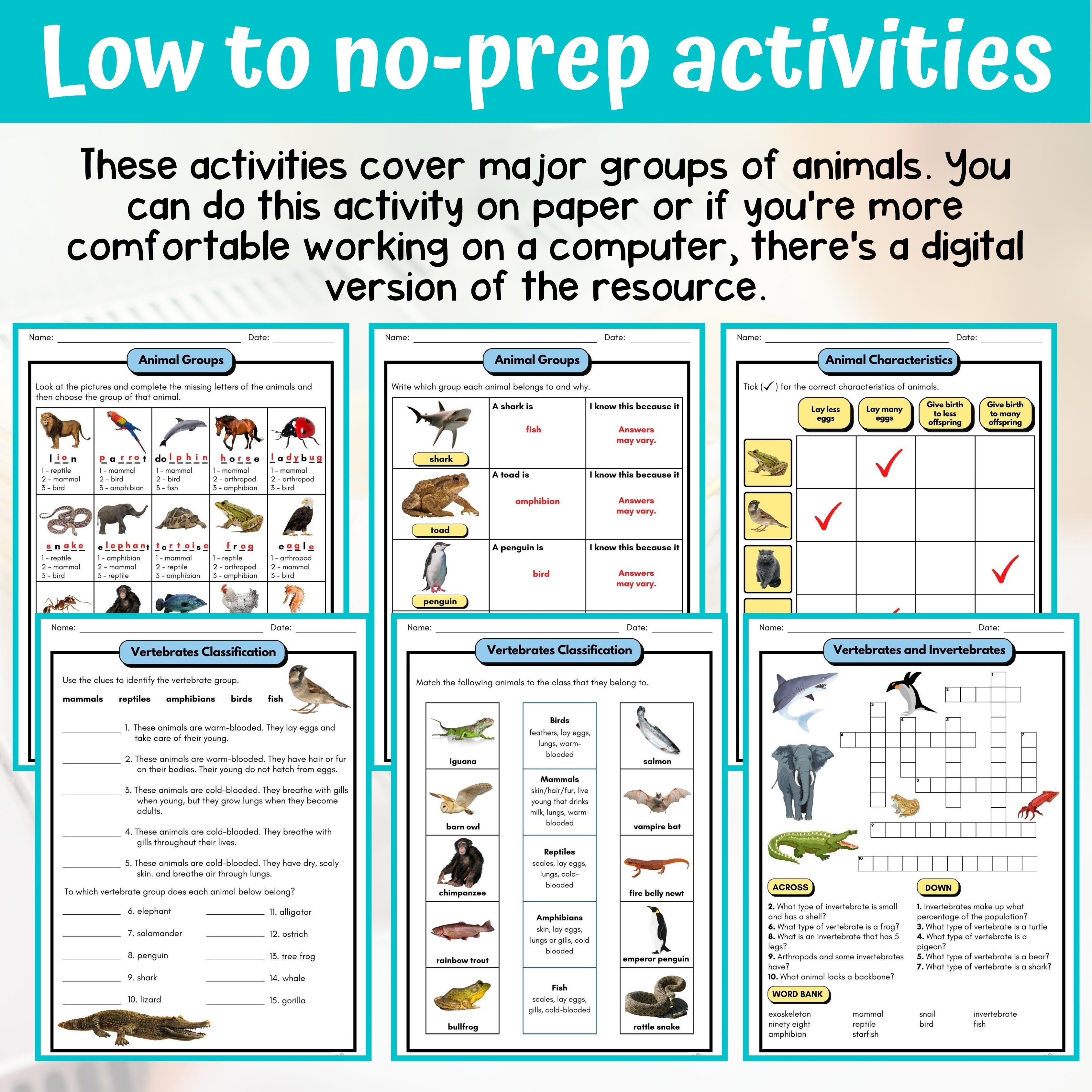 Classifying Animals Activity & Answer Key 3rd Grade Life Science - Classful