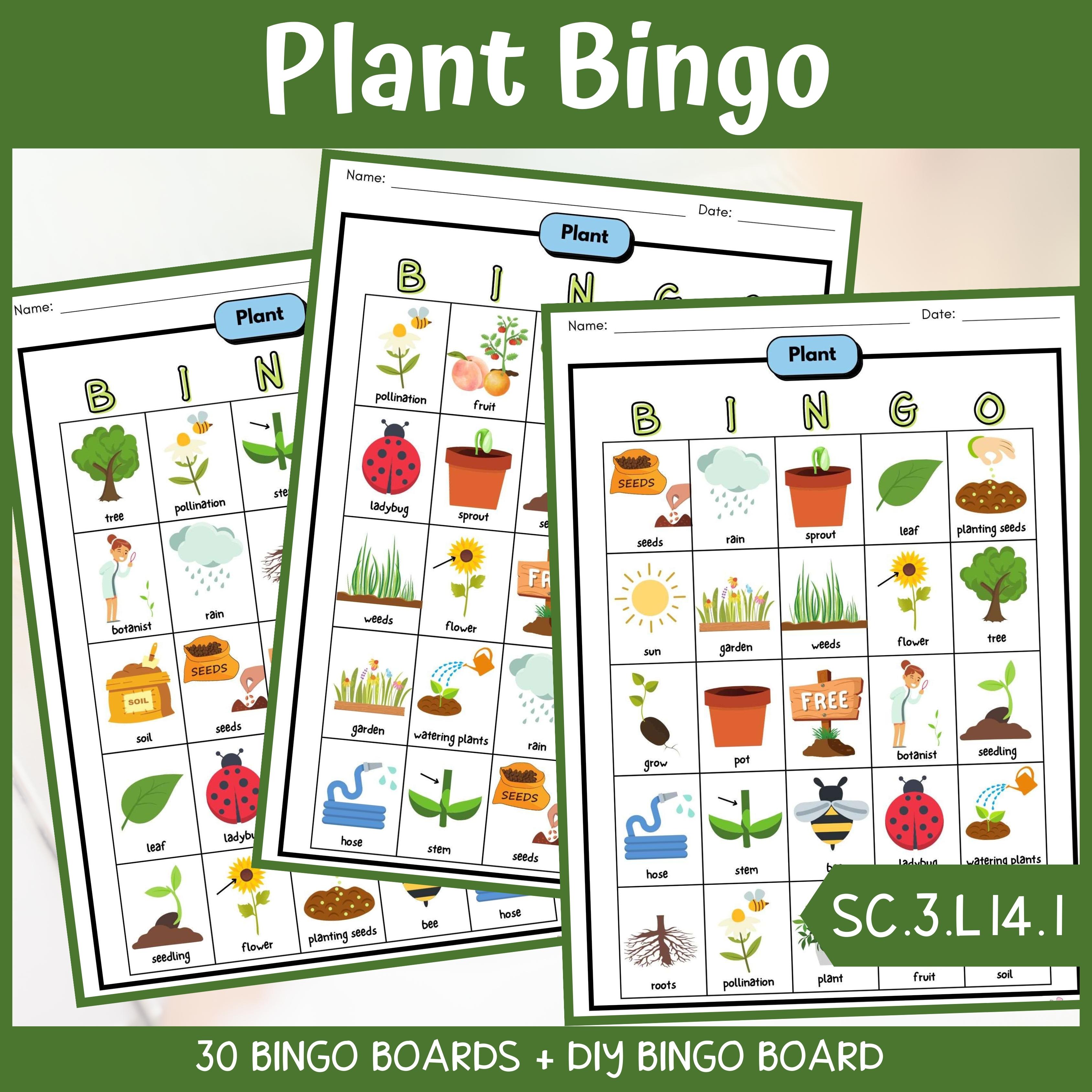 Science Bingo Game Plant Structures Vocabulary Game - Classful