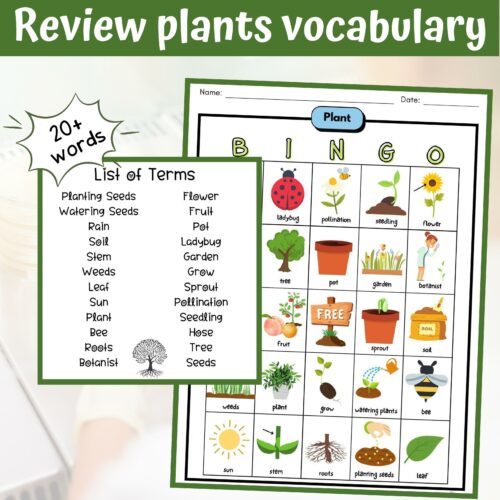 Science Bingo Game Plant Structures Vocabulary Game - Classful