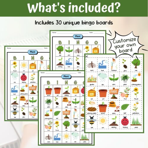 Science Bingo Game Plant Structures Vocabulary Game - Classful