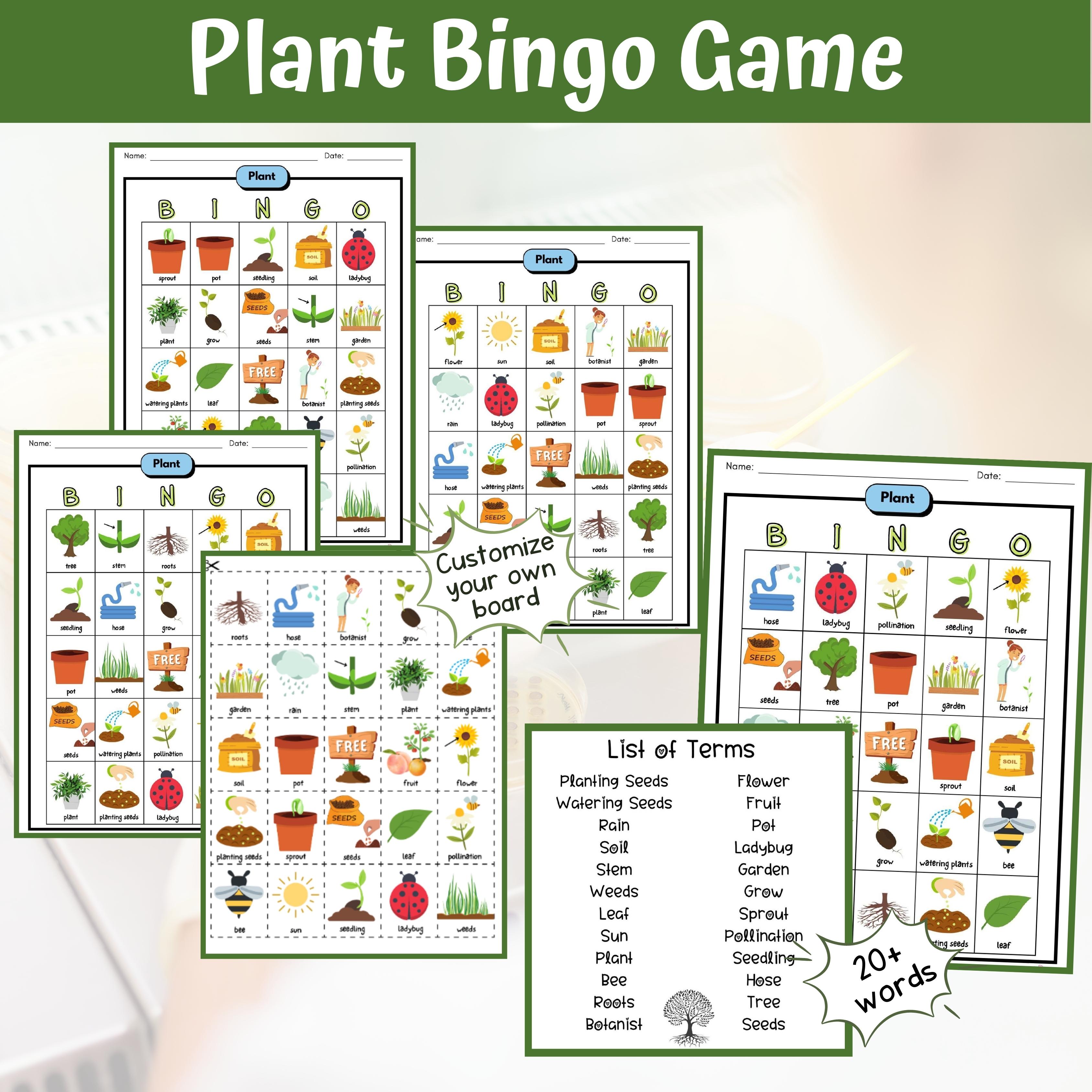 Plant Structures Activities and Vocabulary Game 3rd Grade Life Science ...