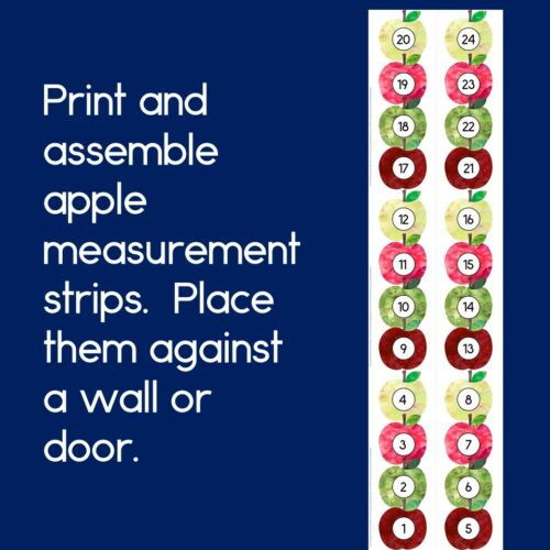 Apples Nonstandard Measurement and Graphing Activity - Classful
