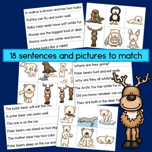 Arctic Polar Animals Sight Word Sentences Reading Comprehension and ...