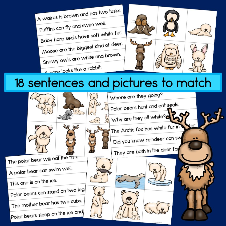 Arctic Polar Animals Sight Word Sentences Reading Comprehension and ...