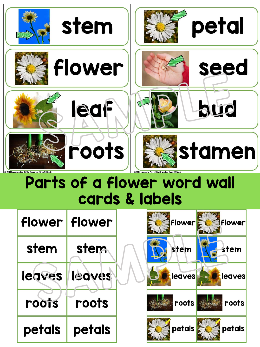 Plants Flowers Science Experiments Parts of Flower Word Wall Cards ...