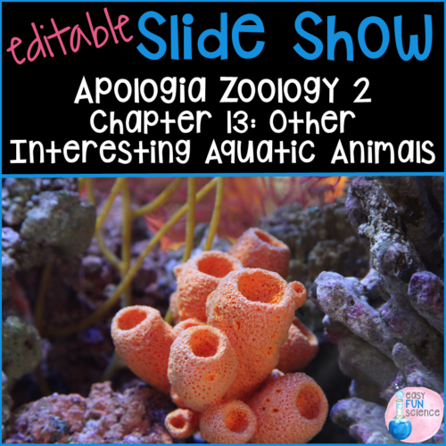 Apologia Zoology 2 Swimming Creatures Ch 13 Other Interesting Aquatic ...