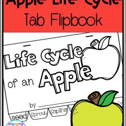Life Cycle of an Apple Tab Flip book - Classful