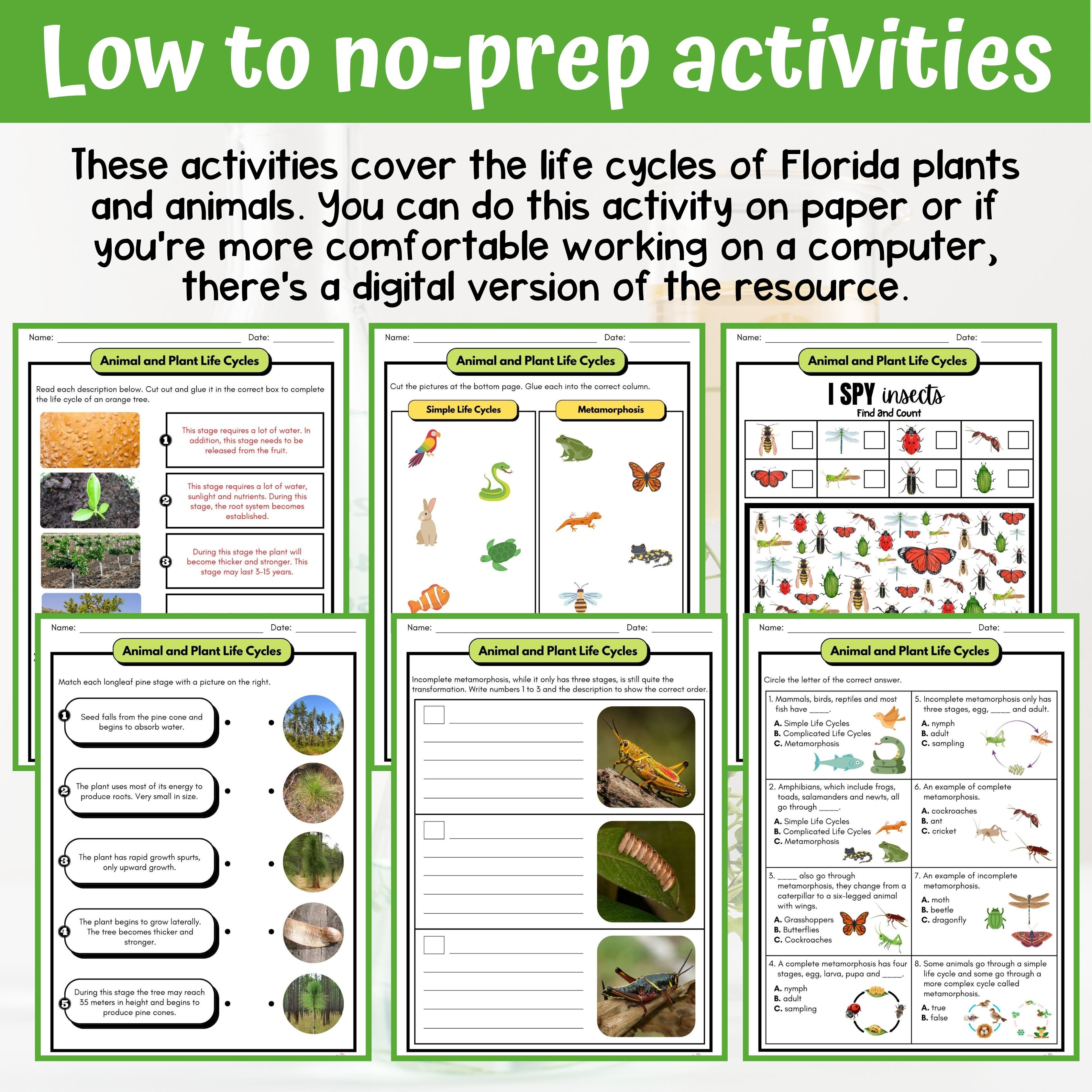 Plant and Animal Life Cycles Activity & Answer Key 4th Grade Life ...